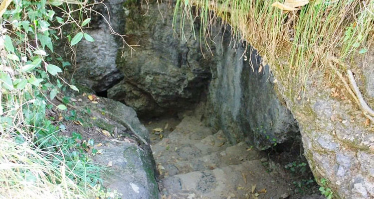 Eco Cave Gardens Nainital (Timings, Entry Fee, History, Location ...