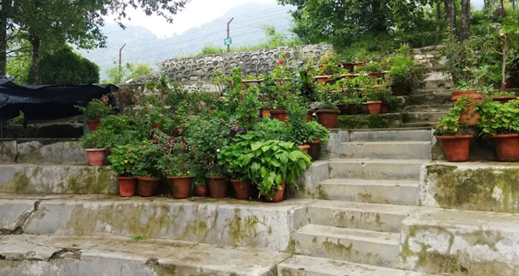 Eco Cave Gardens Nainital (Timings, Entry Fee, History, Location ...