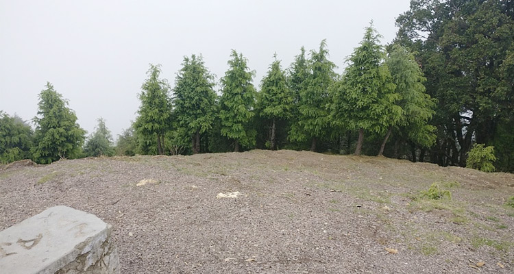 Naina Peak Nainital (Entry Fee, Timings, Images & Location) - Nainital ...