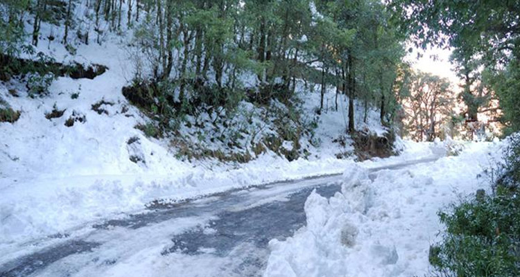 Snow View Point Nainital (Timings & Location) - Nainital Tourism