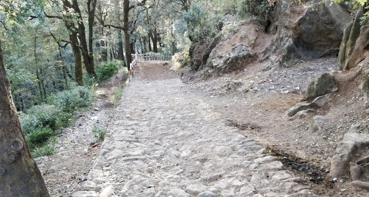 Tiffin Top Nainital (Timings, Distance & Images) - Nainital Tourism